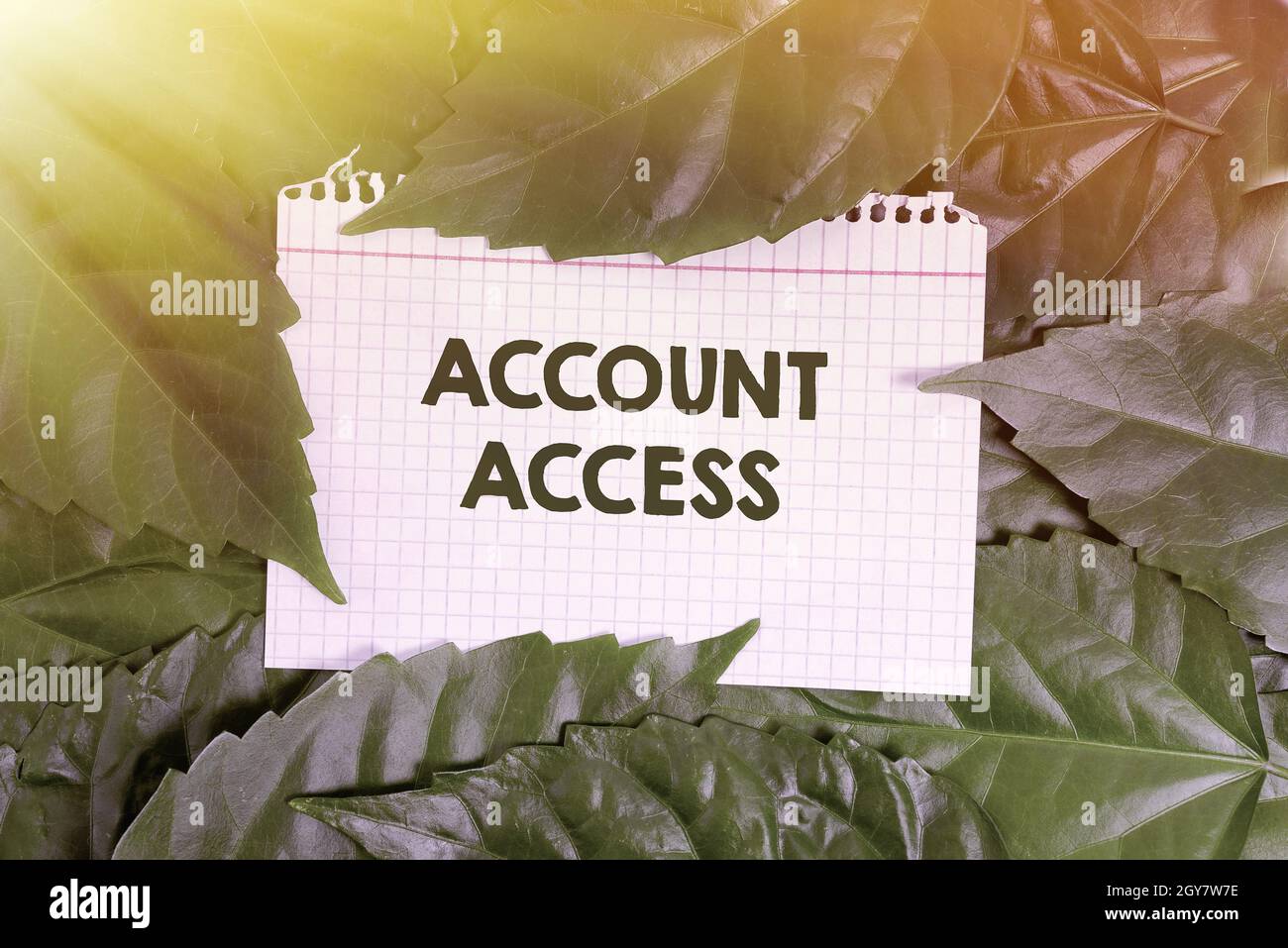 Hand writing sign Account Access, Business idea full privilege for the ...
