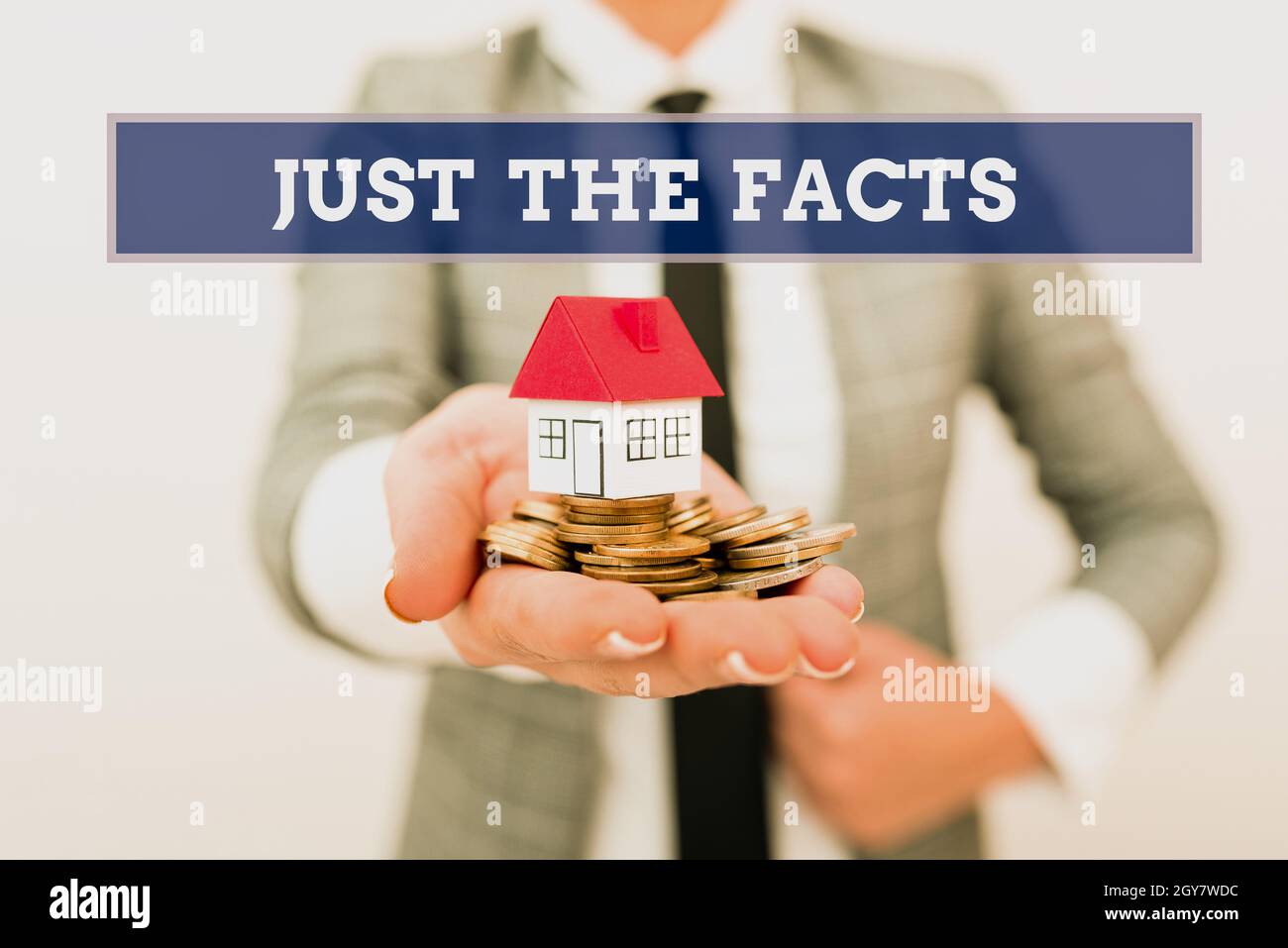 Sign displaying Just The Facts, Conceptual photo to have the correct ...