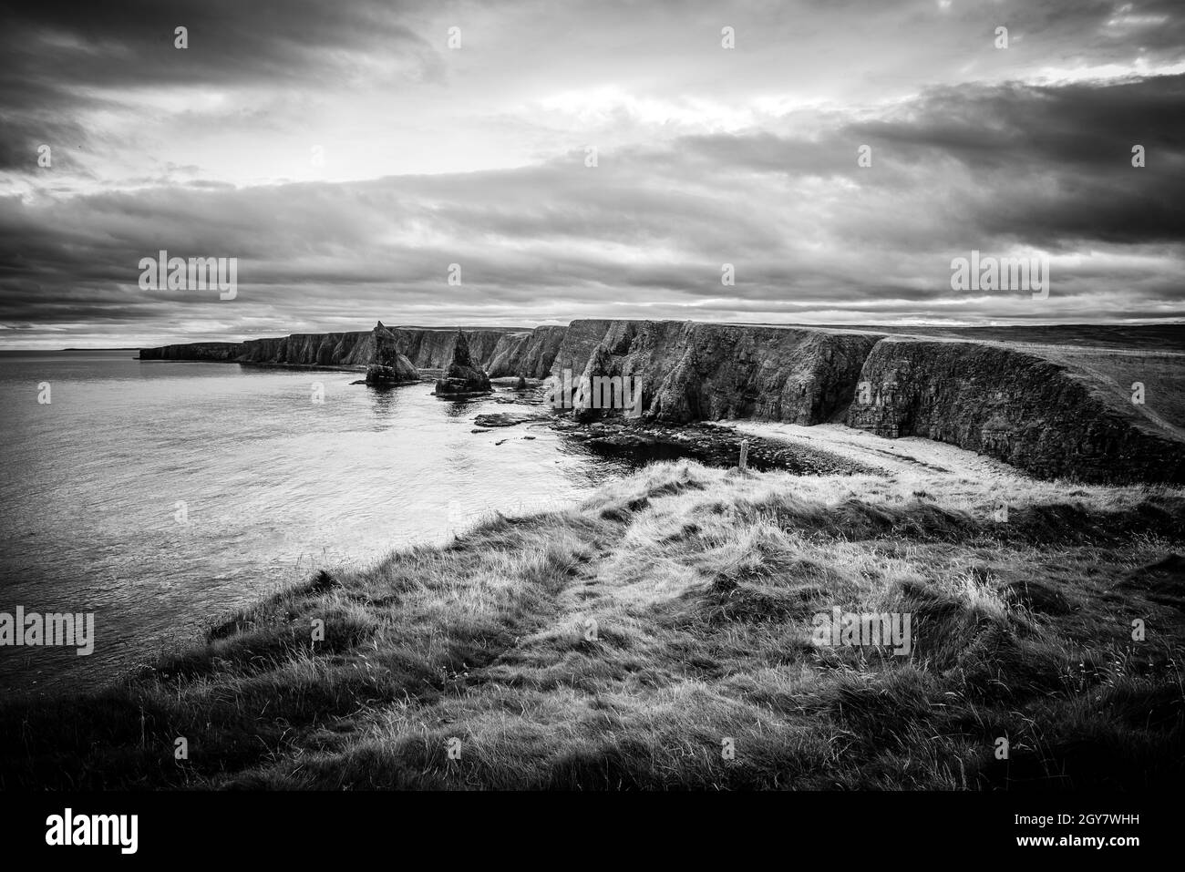 The rugged & bleak yet beauty of nature that formed the Stacks out of ...