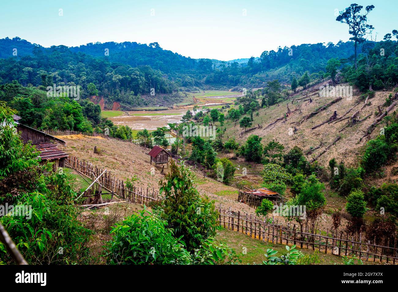 Rice farm in central Vietnam hills Stock Photo - Alamy