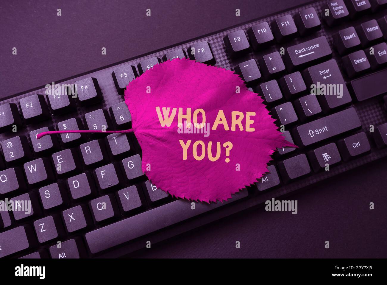 Writing displaying text Who Are You Question, Business idea asking an ...