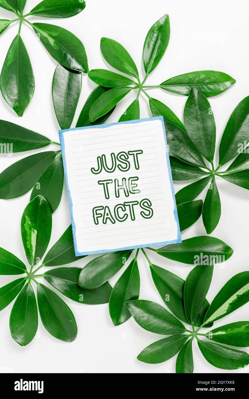 Writing displaying text Just The Facts, Business approach to have the ...