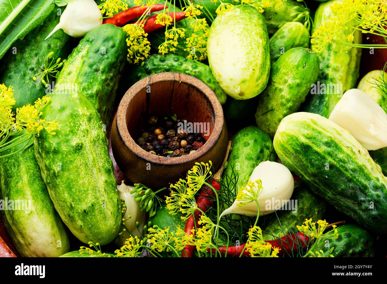 Salted homemade cucumbers.Cooking process.Canned gherkin.Marinated ...