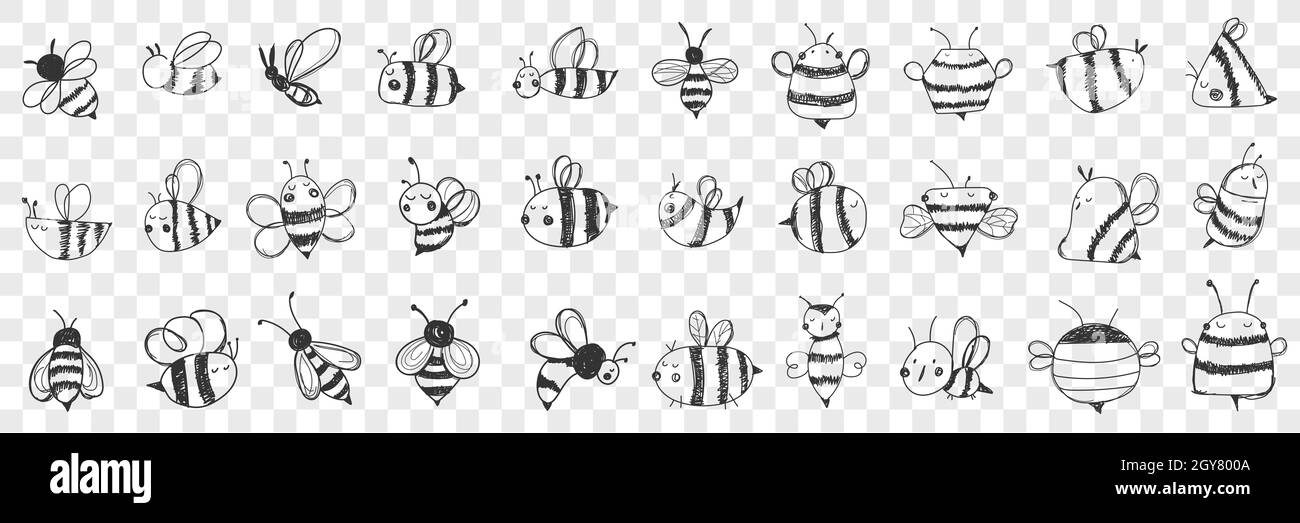 Bees doodle set. Collection of hand drawn various striped bees with ...