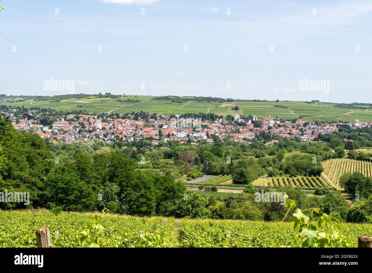 Ingelheim skyline hi-res stock photography and images - Alamy
