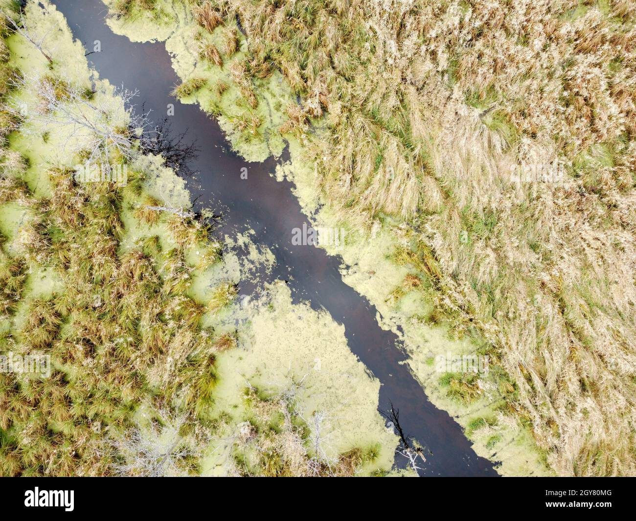 Aerial view of stream in grass field Stock Photo - Alamy