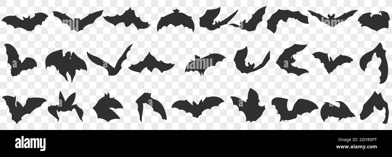 Flying bat with wings doodle set. Collection of hand drawn various ...