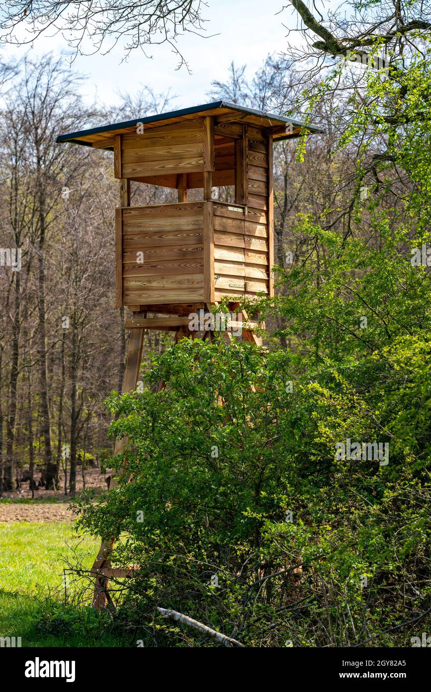Hunter house in forest. Wooden Hunting Lodge Stock Photo - Alamy