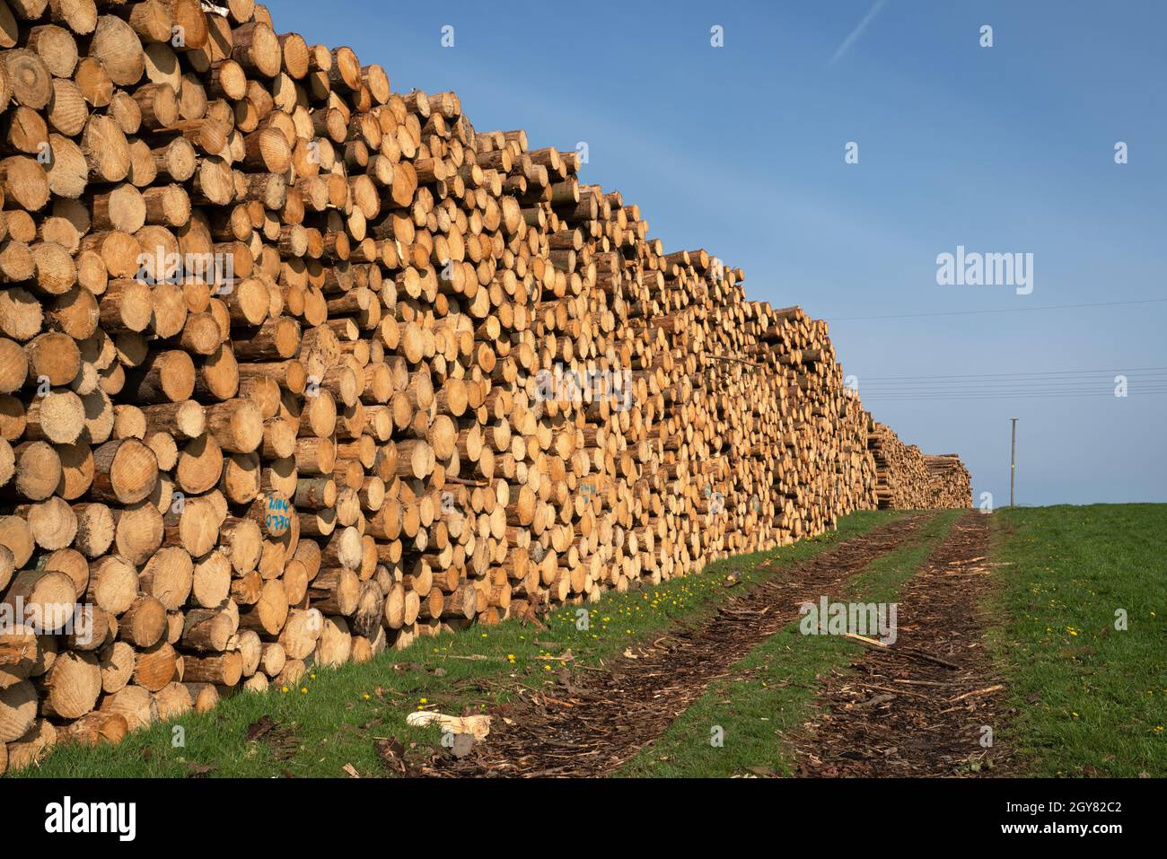 Panoramic image of log piles hi-res stock photography and images - Alamy
