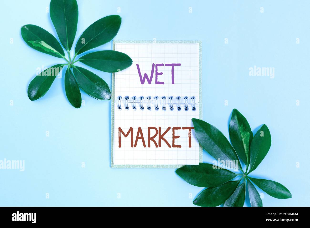 Hand writing sign Wet Market, Business showcase market selling fresh ...