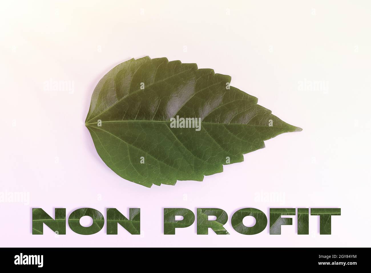 Text caption presenting Non Profit, Business idea an activity not ...