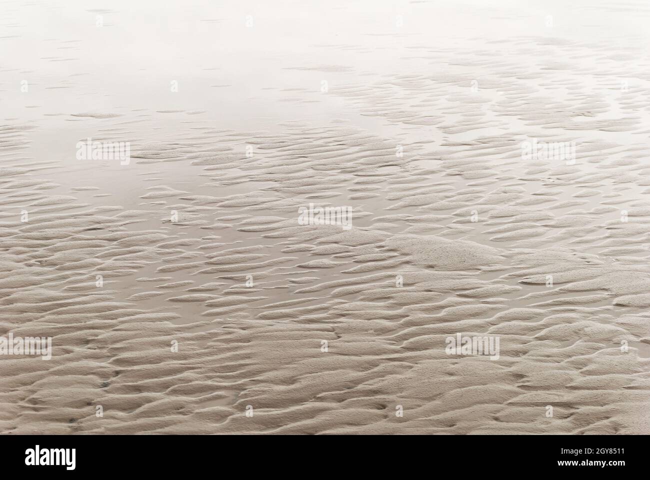 Sand waves background/ texture, north sea Stock Photo - Alamy