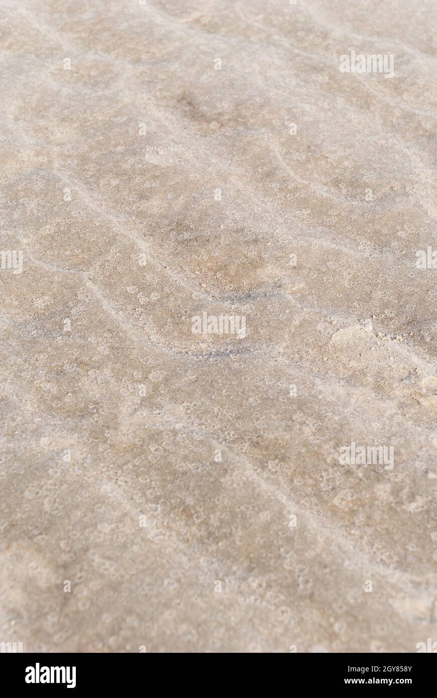 Sand waves background/ texture, north sea Stock Photo - Alamy