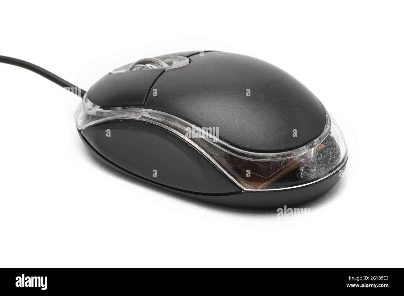 Computer mouse on a white isolated background Stock Photo - Alamy