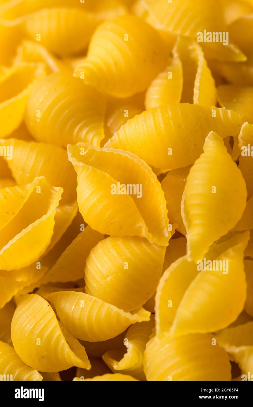 Raw Dry Organic Medium Pasta Shells Ready to Cook Stock Photo - Alamy
