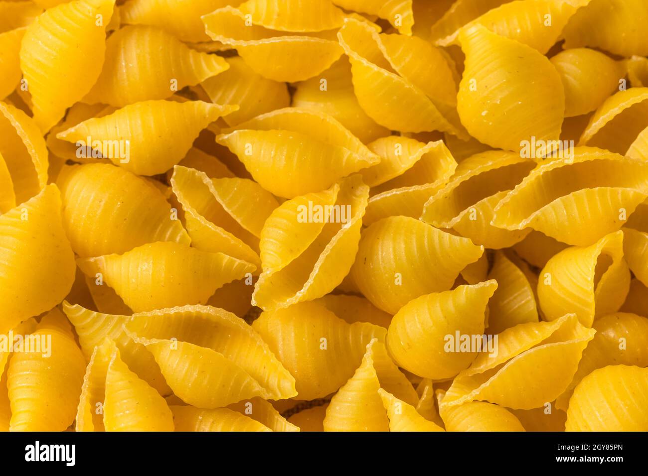 Raw Dry Organic Medium Pasta Shells Ready to Cook Stock Photo - Alamy