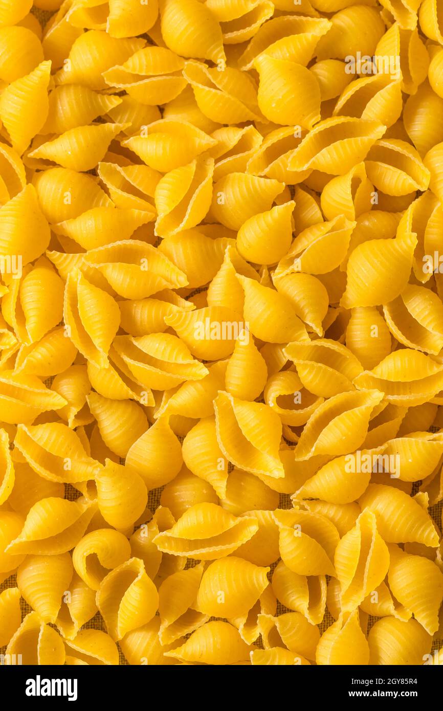 Raw Dry Organic Medium Pasta Shells Ready to Cook Stock Photo - Alamy