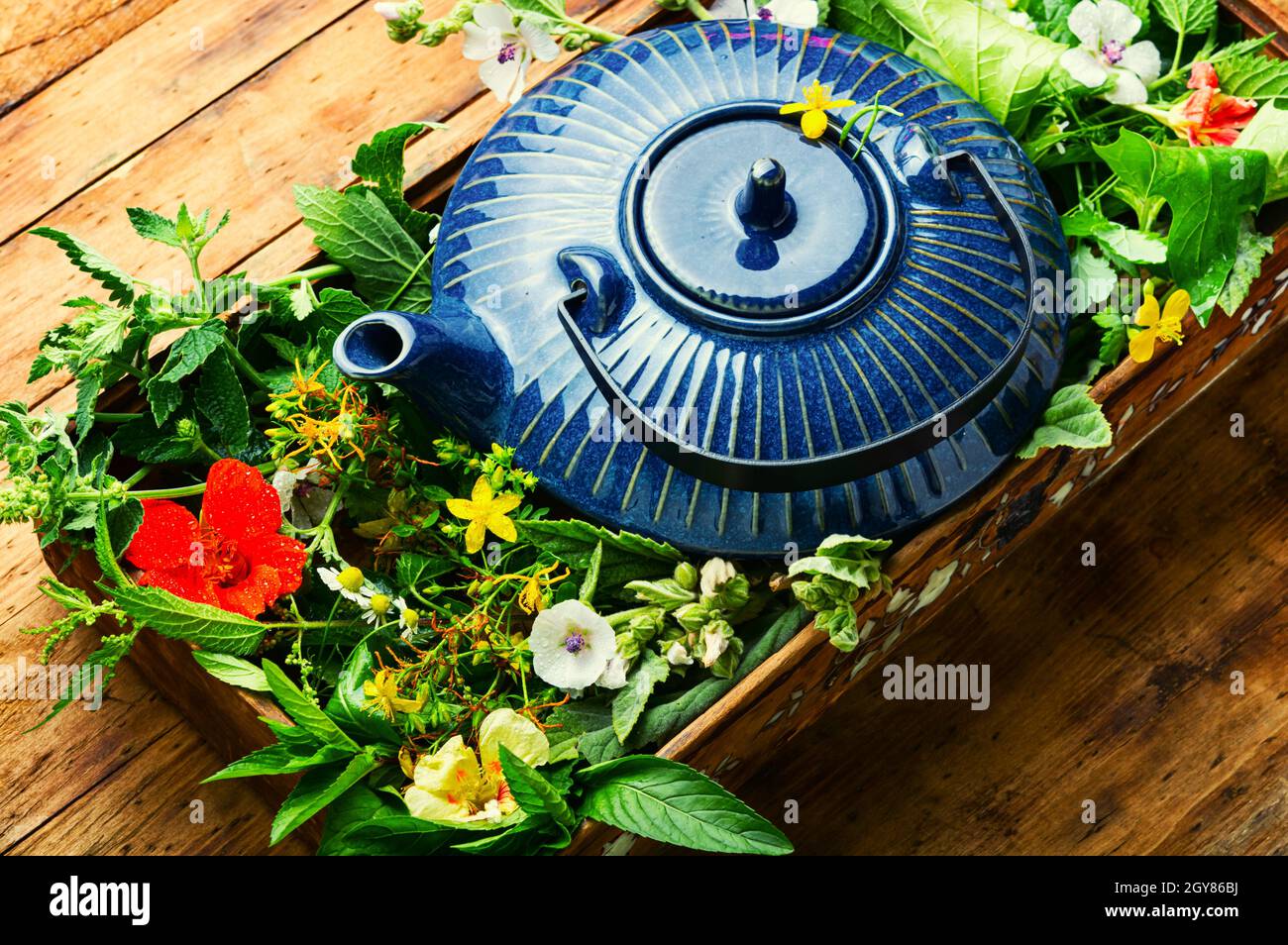 Healing herbal tea. Teapot with tea made from fresh wild herbs. Herbal ...