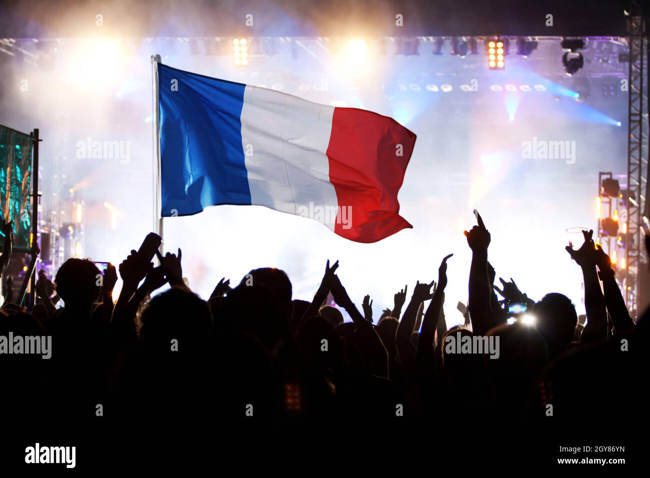 Soccer fans supporting France - crowd celebrating in stadium with ...