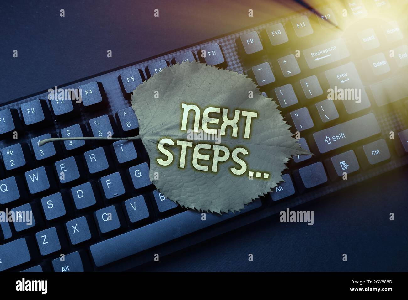 Writing displaying text Next Steps, Business idea something you do ...