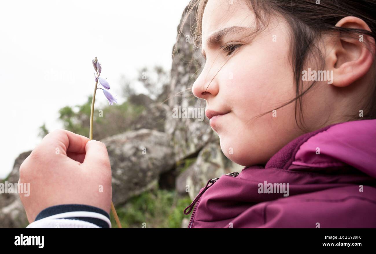 Child girl observing little wild flower. Botany for inquisitive ...