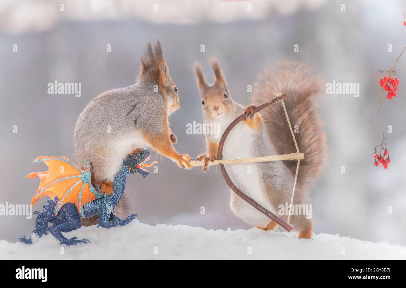 red squirrels are standing with an dragon and a bow Stock Photo - Alamy