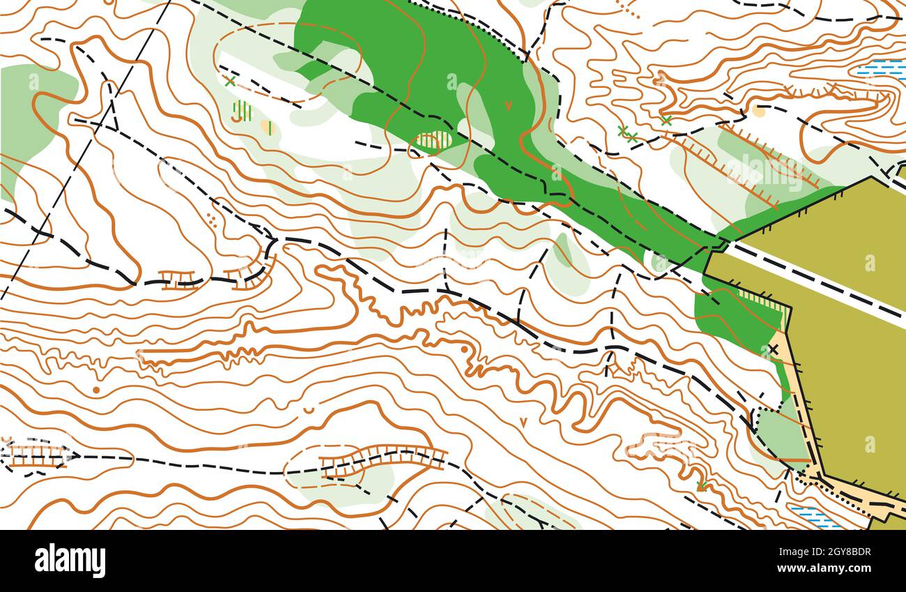 Detailed fragment of abstract vector topographic map Stock Photo - Alamy