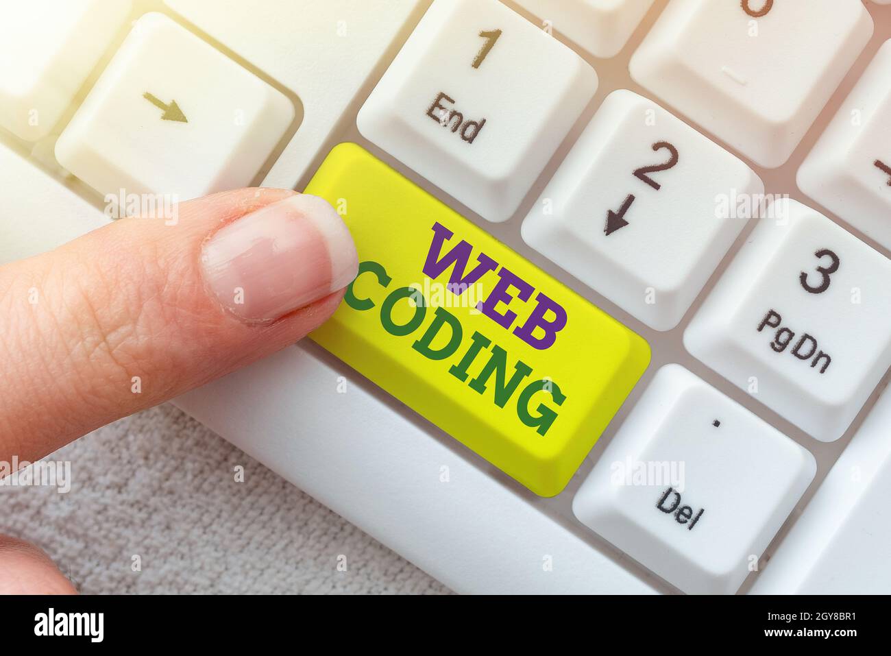 Text showing inspiration Web Coding, Business overview a system of ...