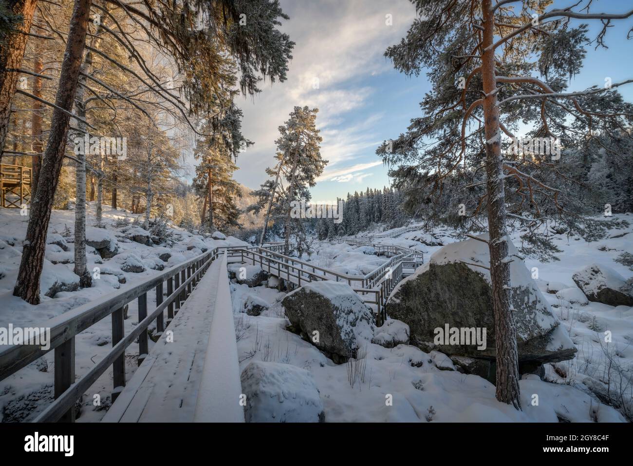 food path in a forest mountain and winter landscape Stock Photo - Alamy