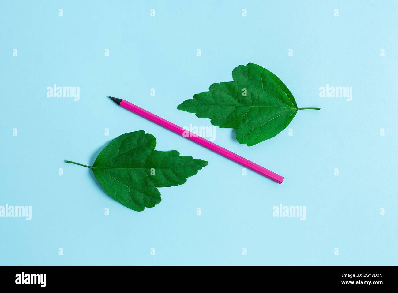 Two Objects Arranged Facing Inward Outward On a Separated Coloured ...