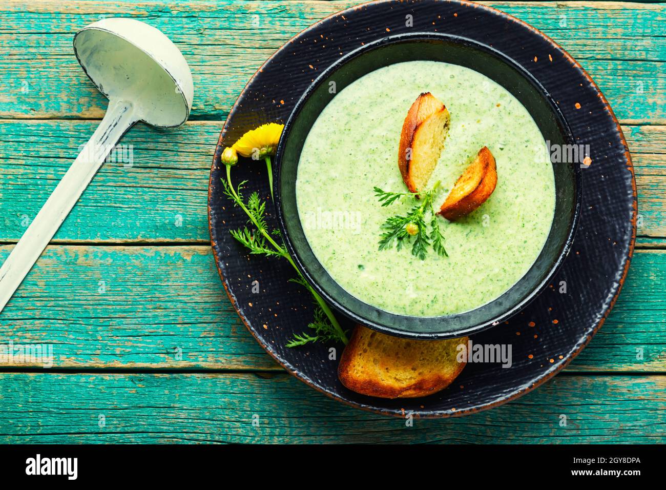 Puree soup, dietary zucchini and herb soup, garnished with croutons ...