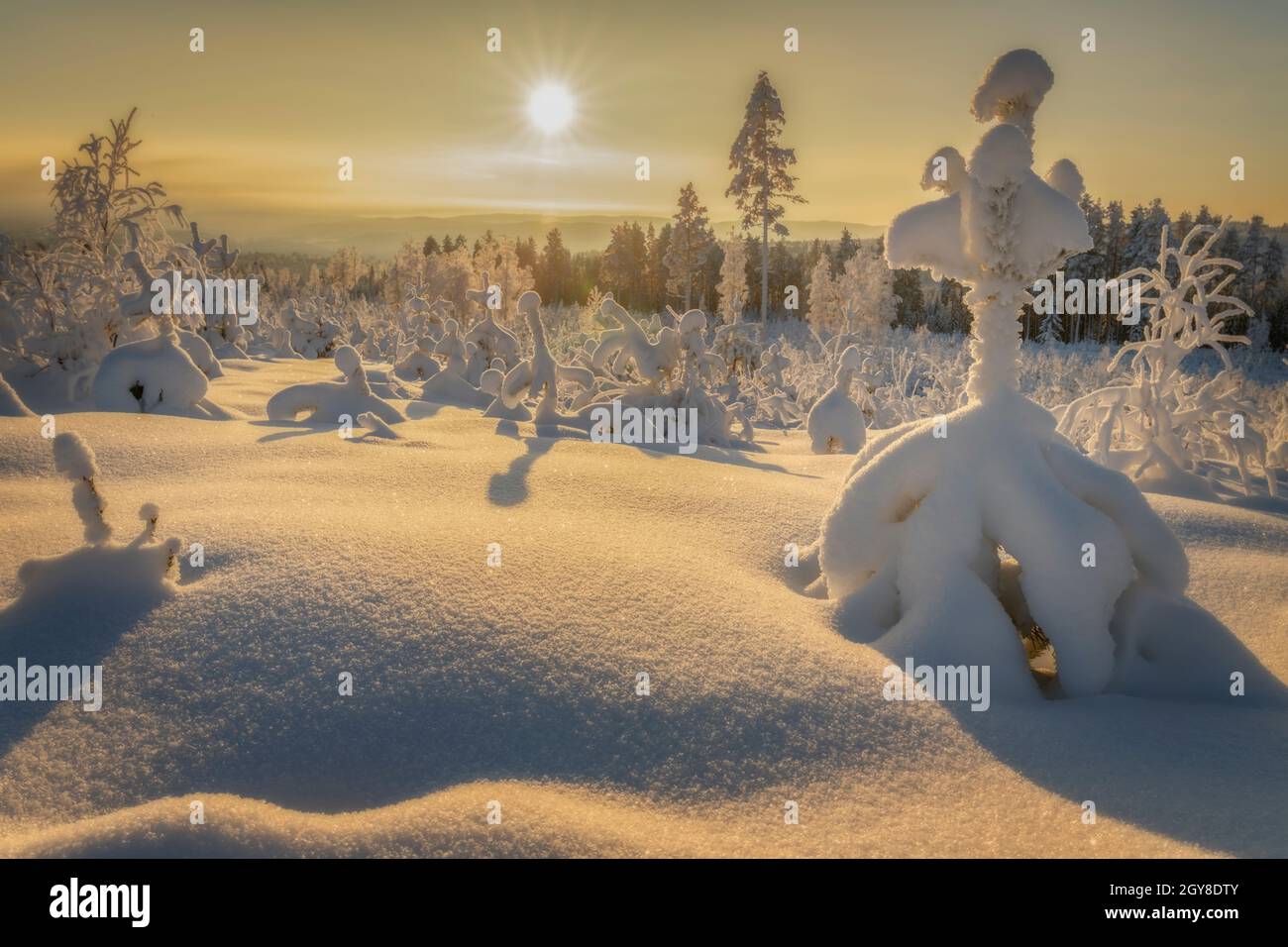 Sculpture snow landscape hi-res stock photography and images - Alamy