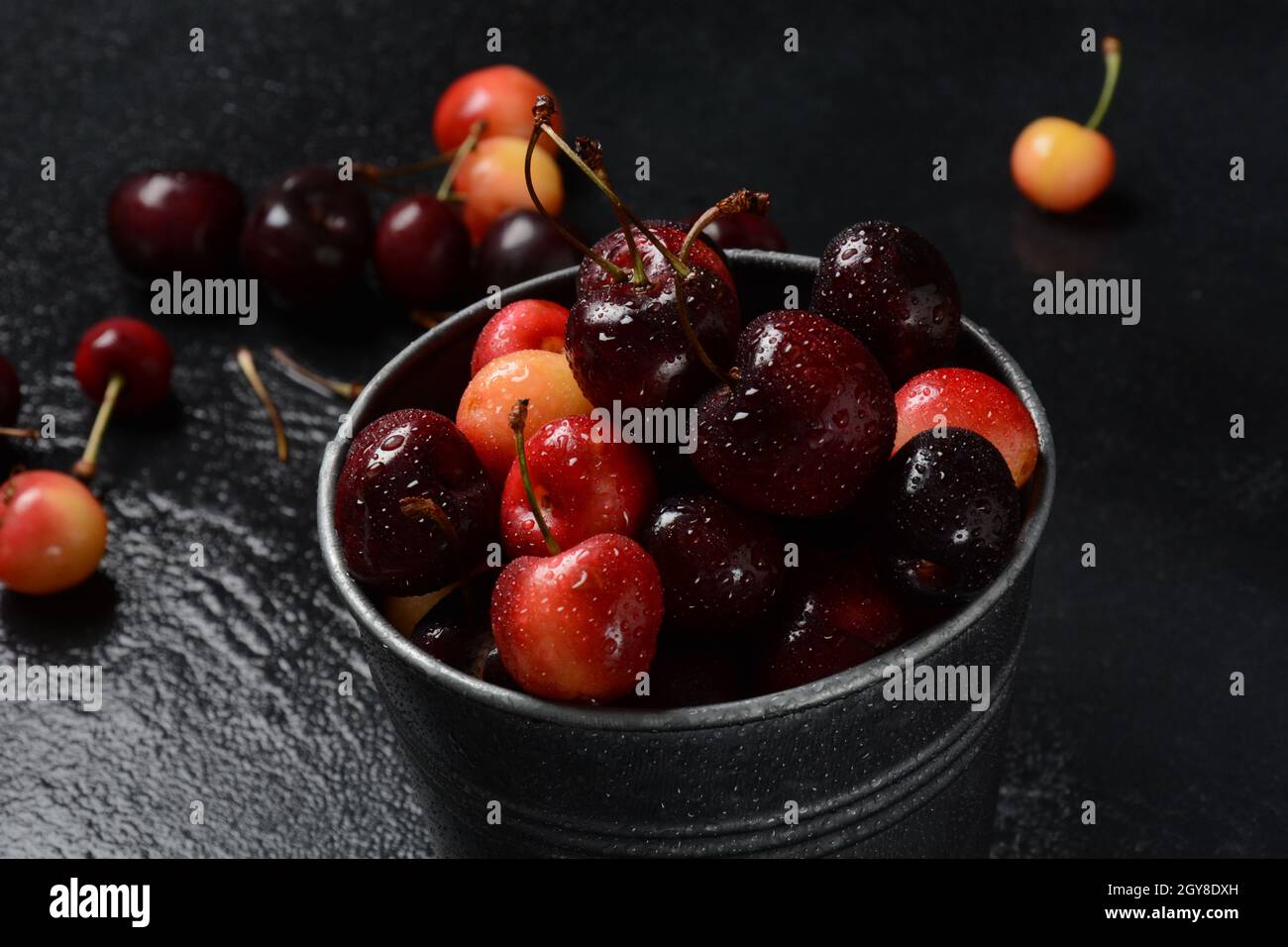 Yellow and red sweet cherries. Fresh ripe sour cherries. Fresh sweet ...