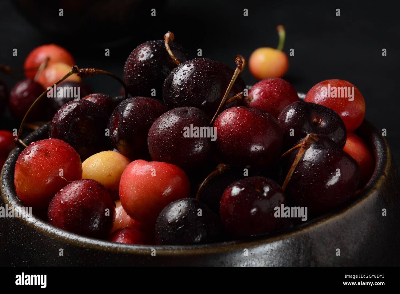 Yellow and red sweet cherries. Fresh ripe sour cherries. Fresh sweet ...