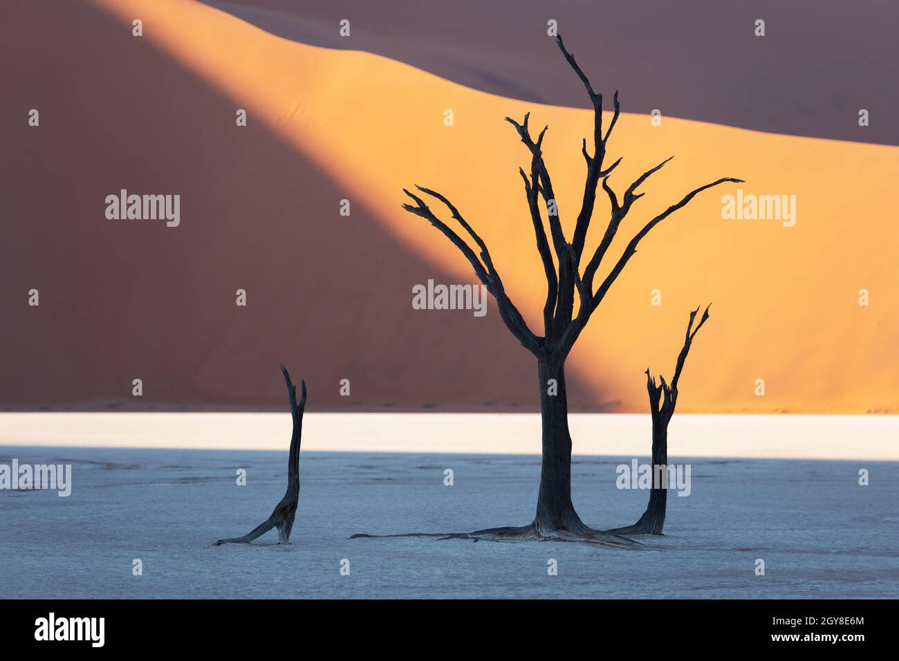Dead Camelthorn Trees at sunrise, Deadvlei, Namib-Naukluft National ...