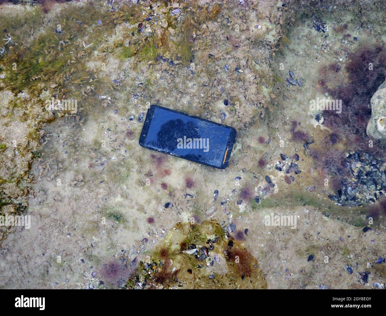 Smartphone under water. Damaged smartphone drowned in the sea Stock ...