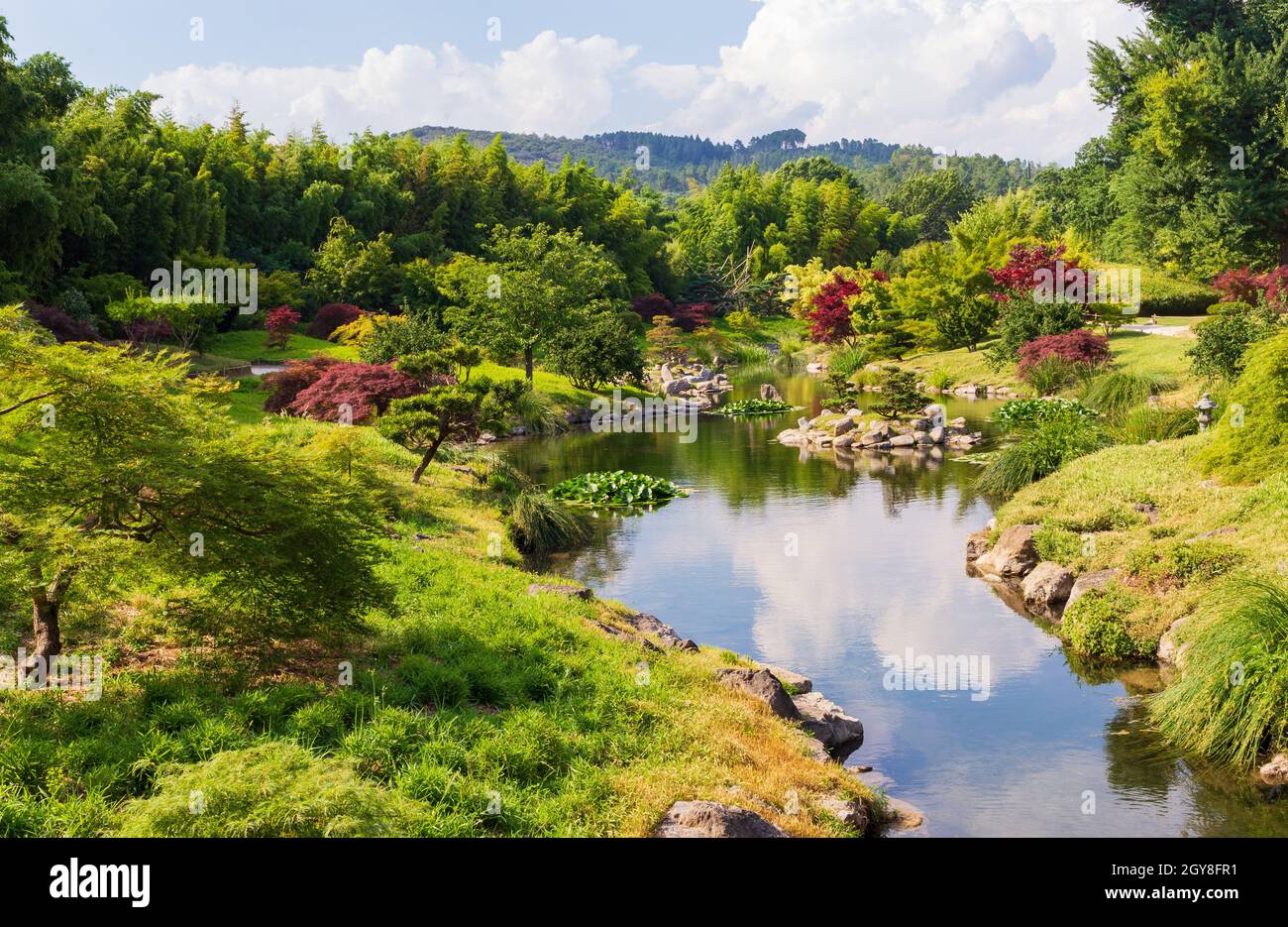 Japanese garden and nature in spring Stock Photo - Alamy