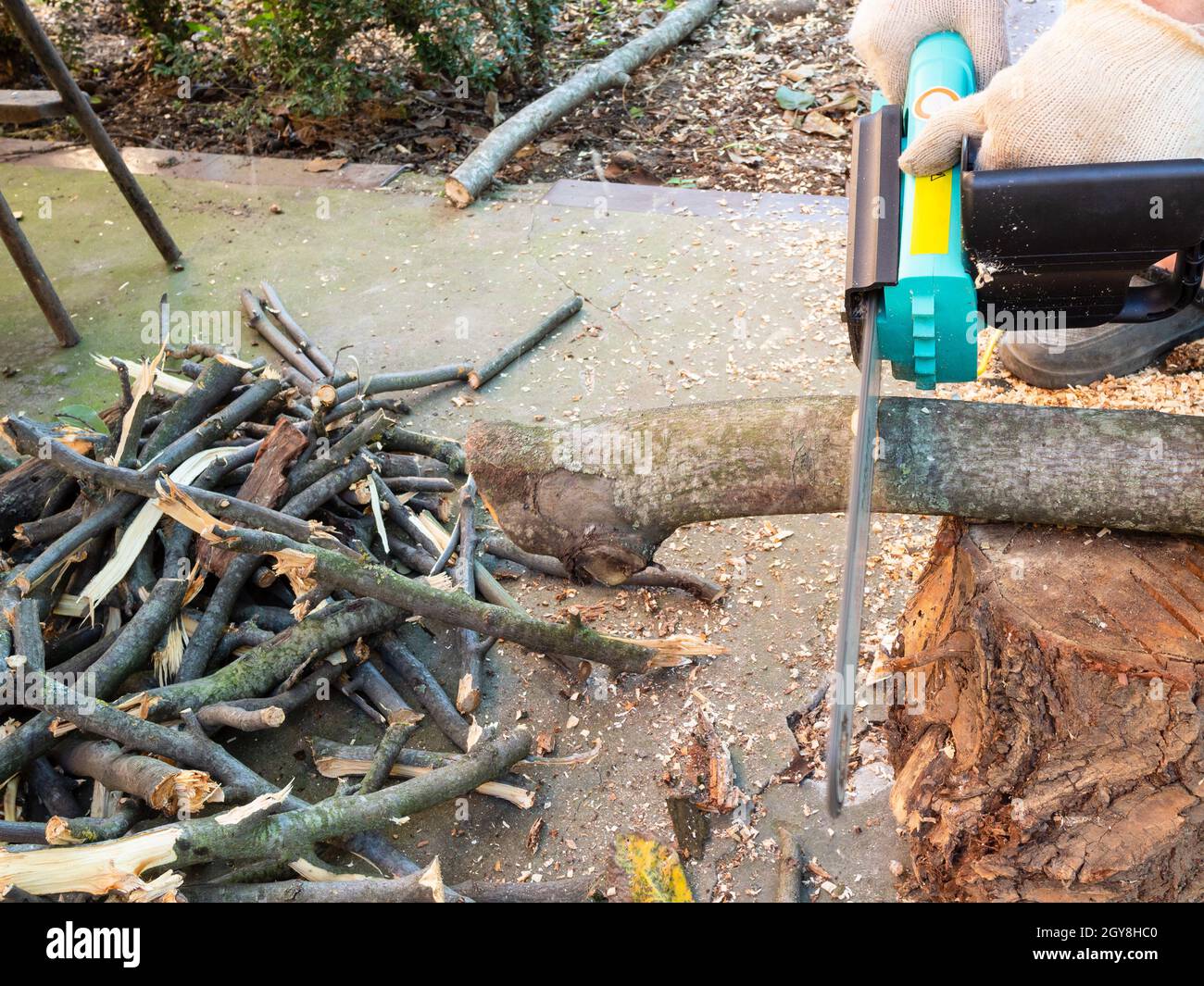 front view of sawing tree branch with electric chain saw in backyard ...