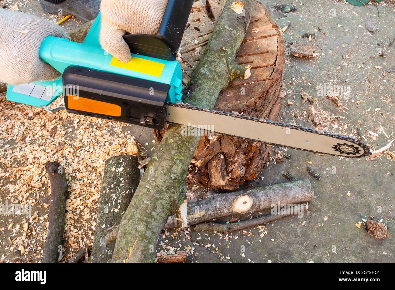 side view of sawing tree branch with electric chain saw in backyard ...