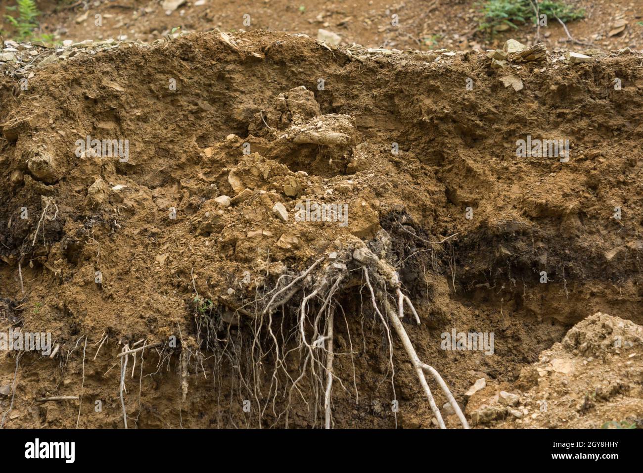 destroyed layers of lithosol soil with visible sediments on black layer ...
