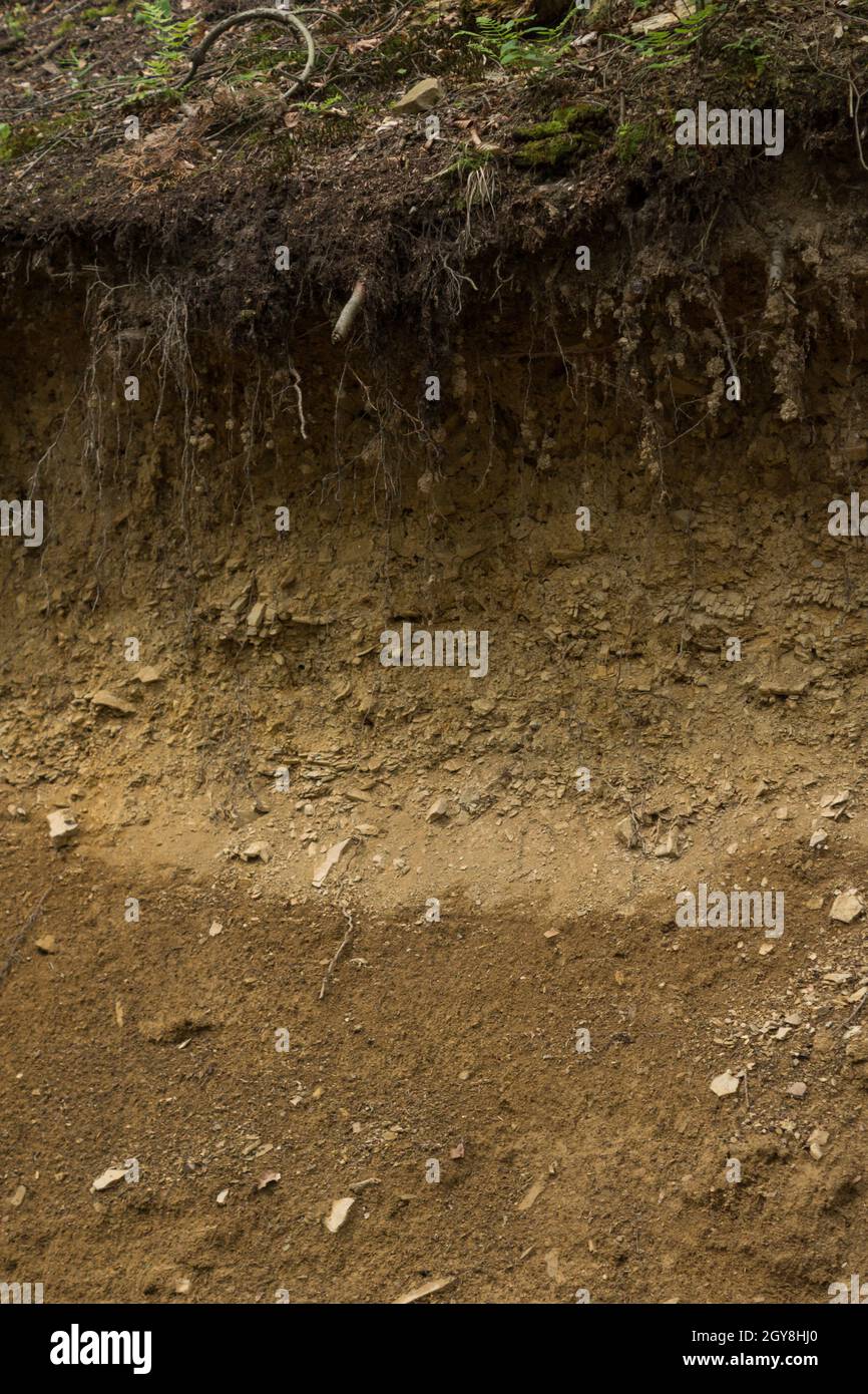 Lithosol hi-res stock photography and images - Alamy