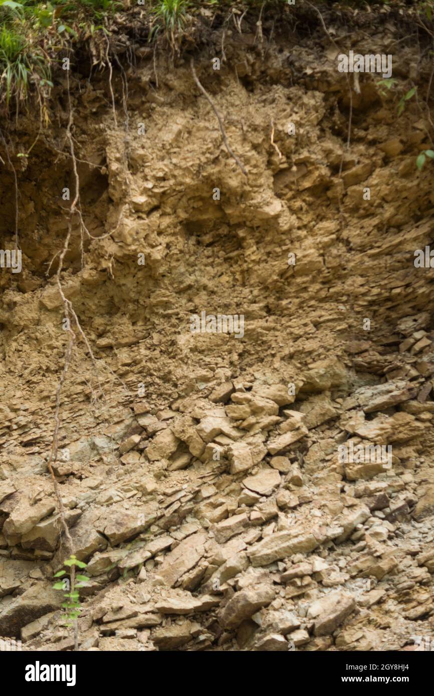 Lithosol hi-res stock photography and images - Alamy