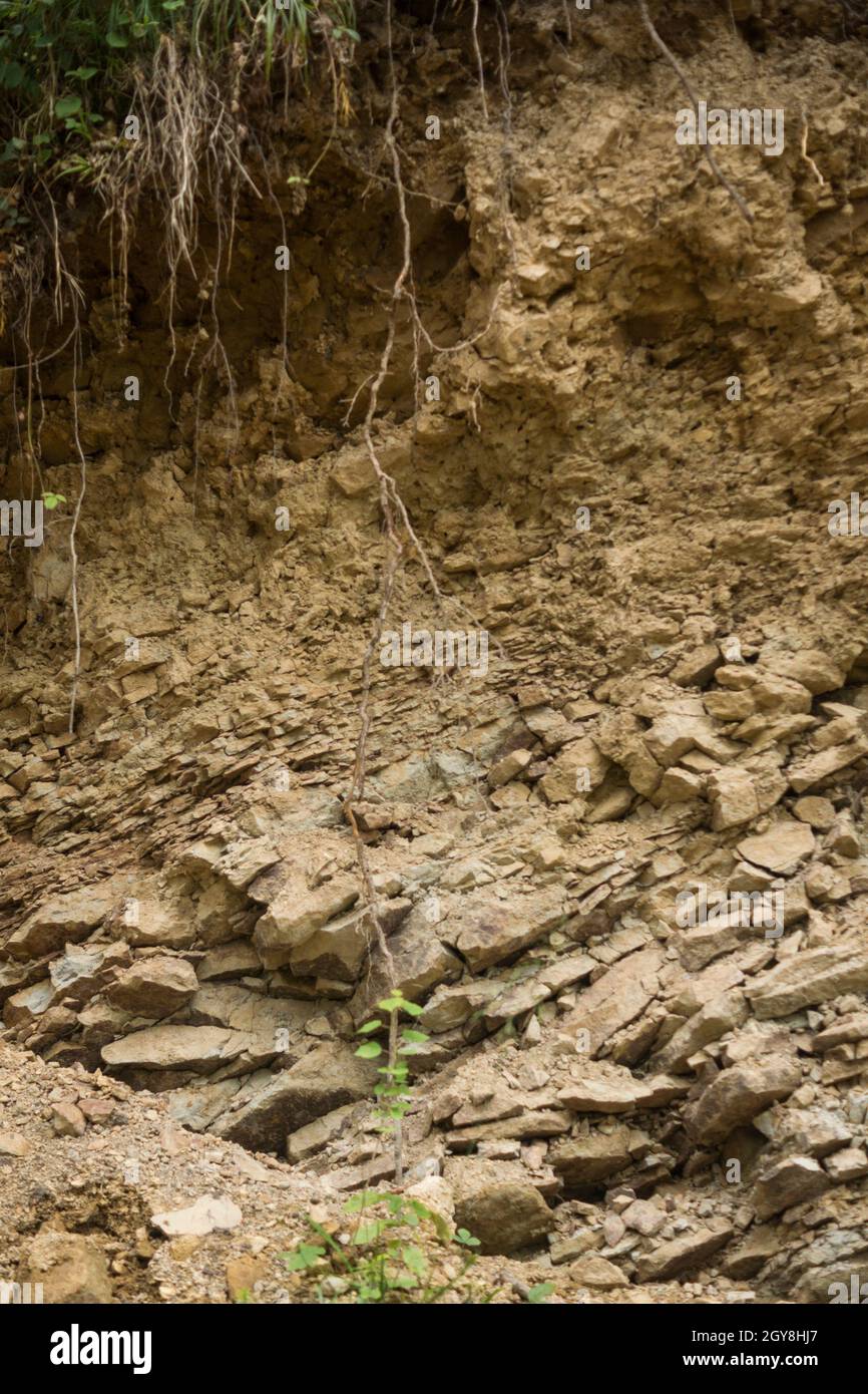 Lithosol hi-res stock photography and images - Alamy