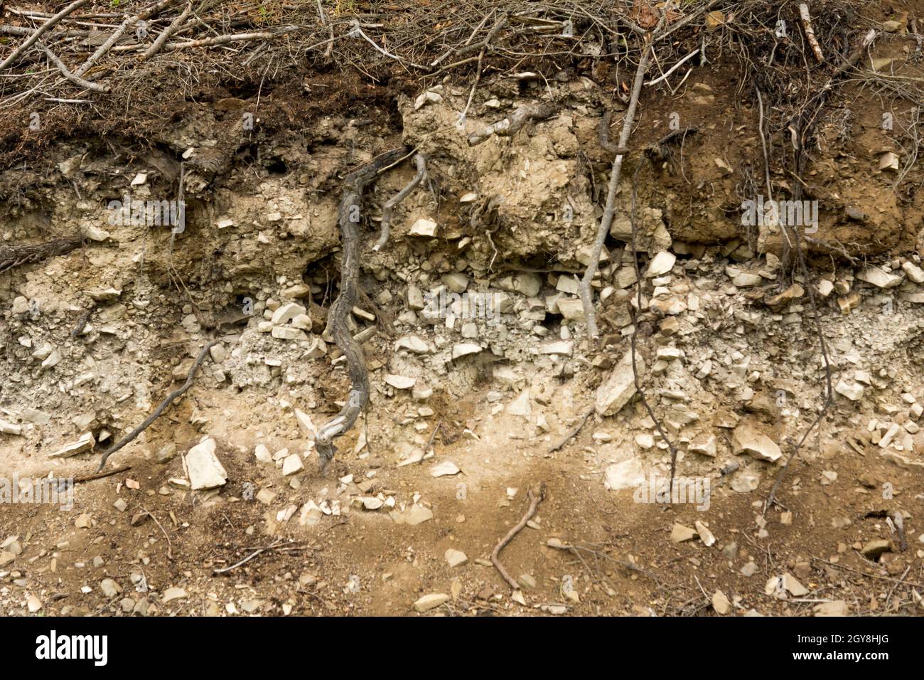 visible layers of lithosol type soil in Bieszczady Mountains Stock ...