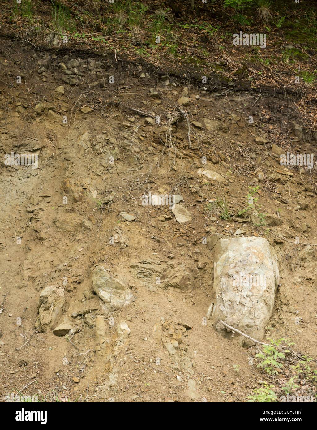 visible layers of lithosol type soil in Bieszczady Mountains Stock ...