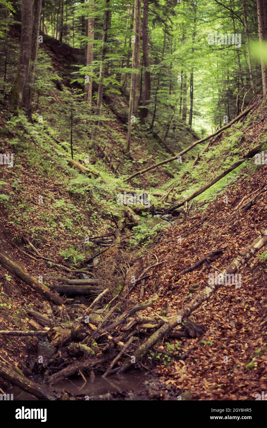 V shaped valley hi-res stock photography and images - Alamy