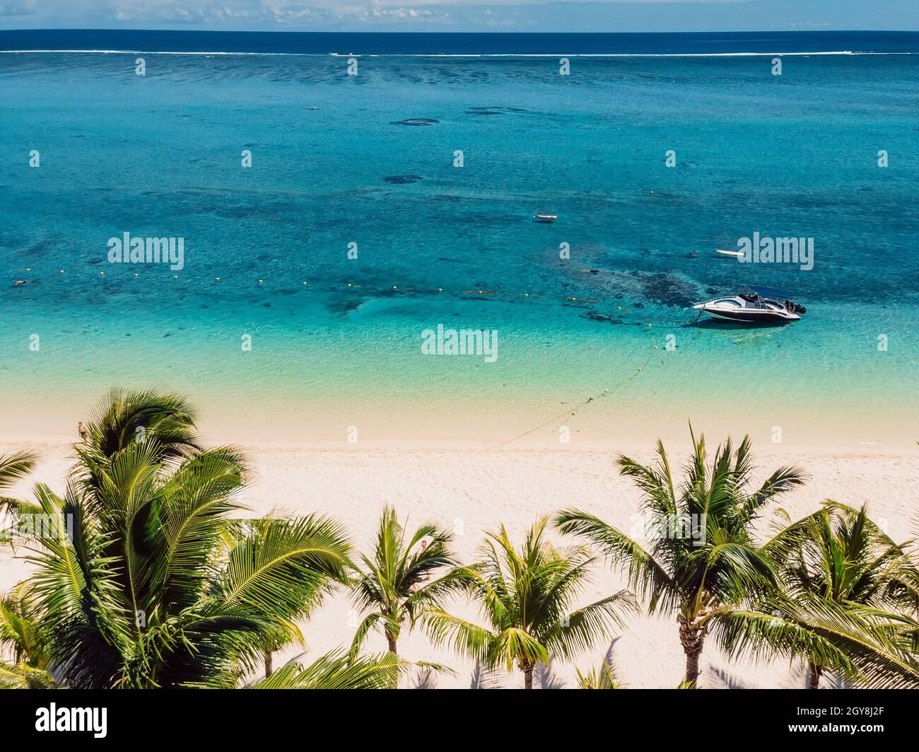 Luxury beach in Mauritius. Sandy beach with coconut palms and tropical ...