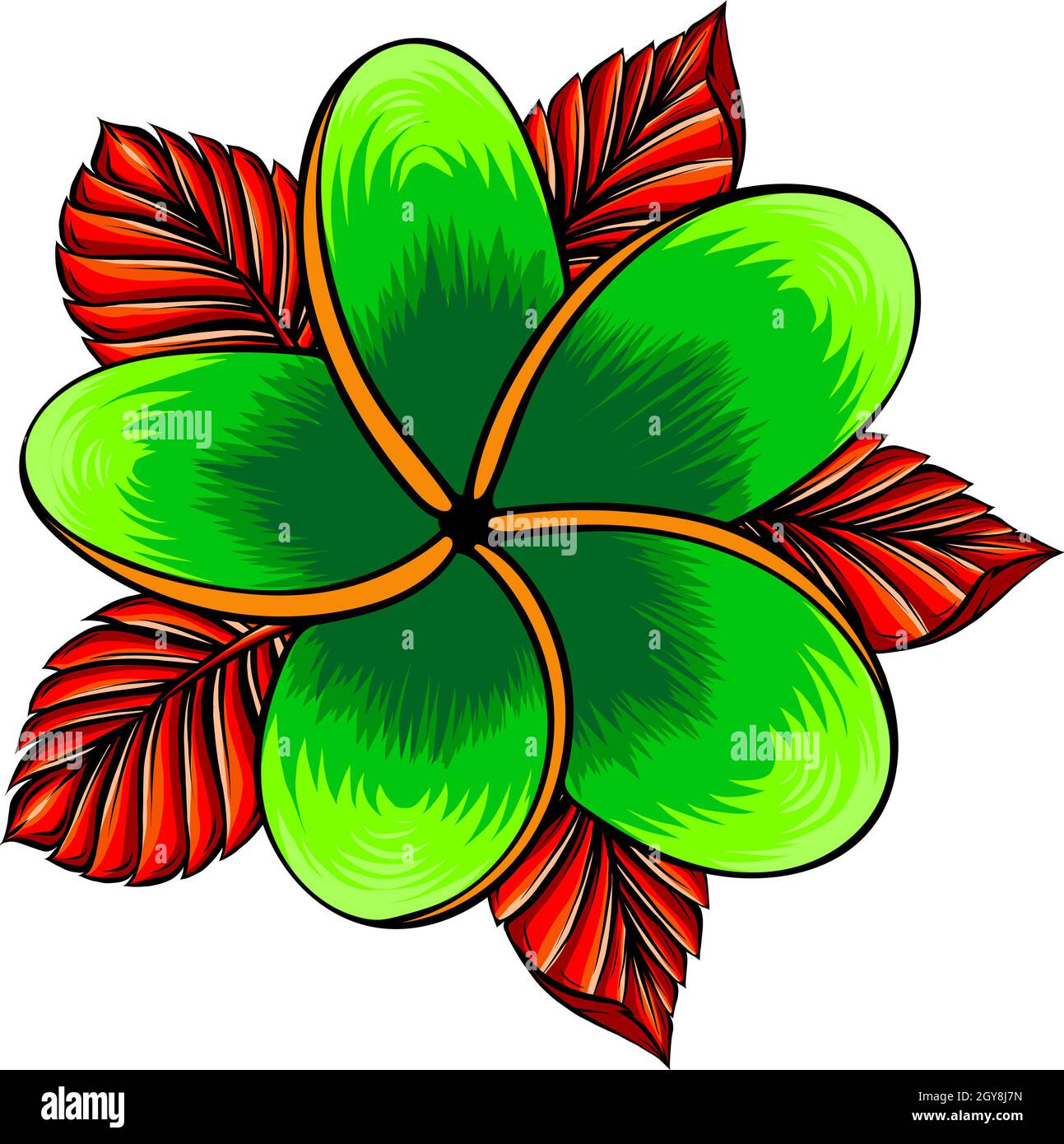 Frangipani vector Cut Out Stock Images & Pictures - Alamy