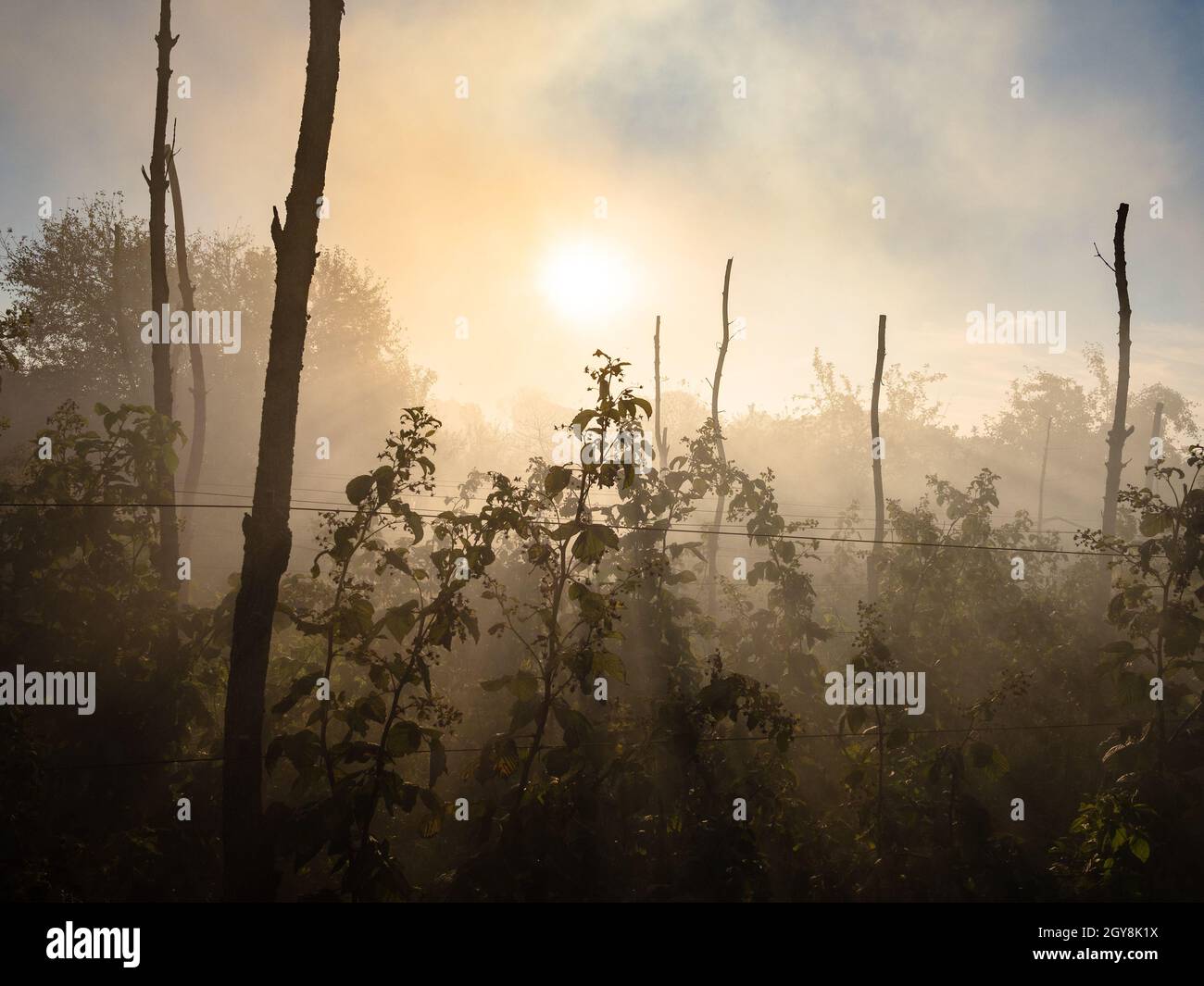 Raspberry fire burning fire in hi-res stock photography and images - Alamy