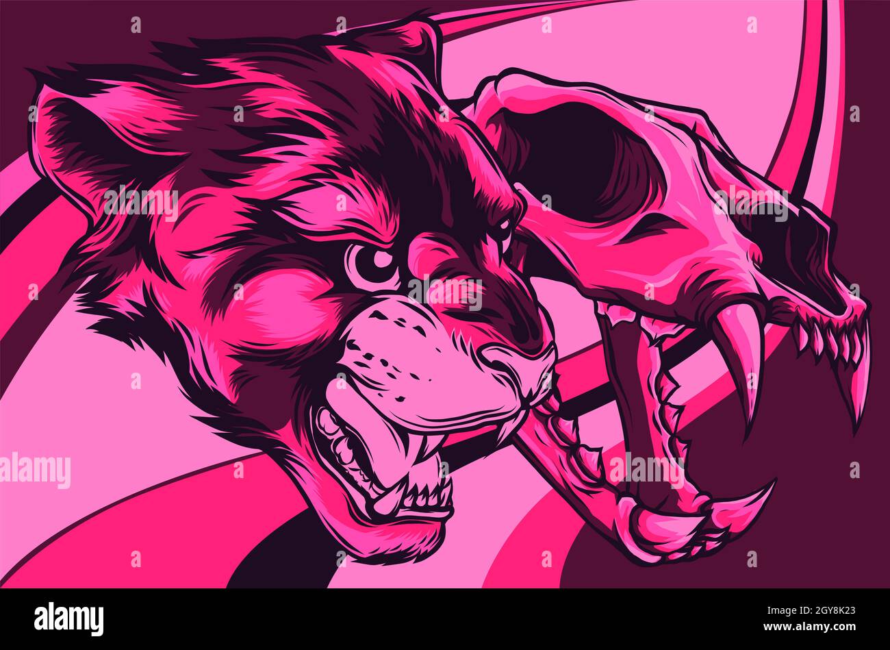 Puma skull hi-res stock photography and images - Alamy